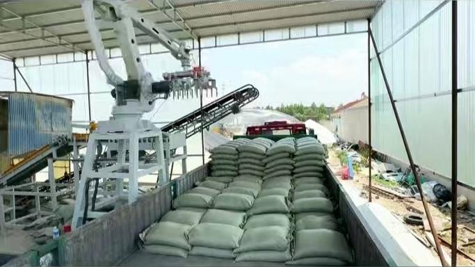 How Automated Truck Unloading System Transforms Warehouse Efficiency | SmartLoadingHub