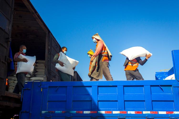 Decision-Making Insights for Implementing Automatic Loading Systems with SmartTEH | SmartLoadingHub