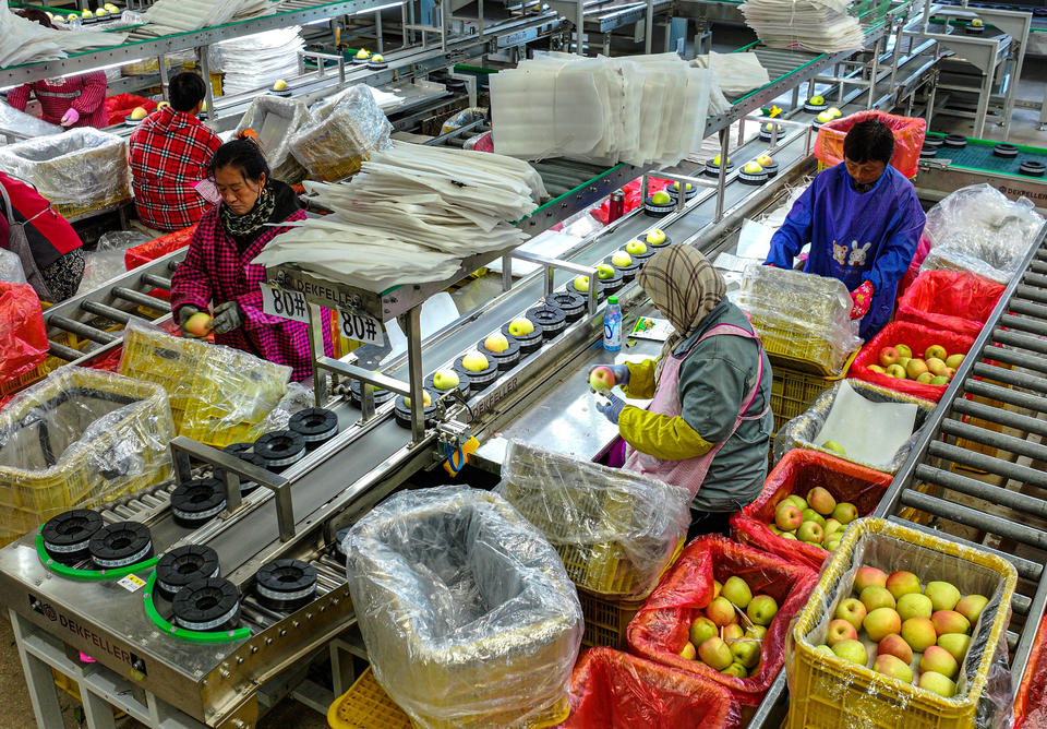 Navigating the Future of Conveyor Sorting Systems: A Deep Dive into Efficiency and Safety ...